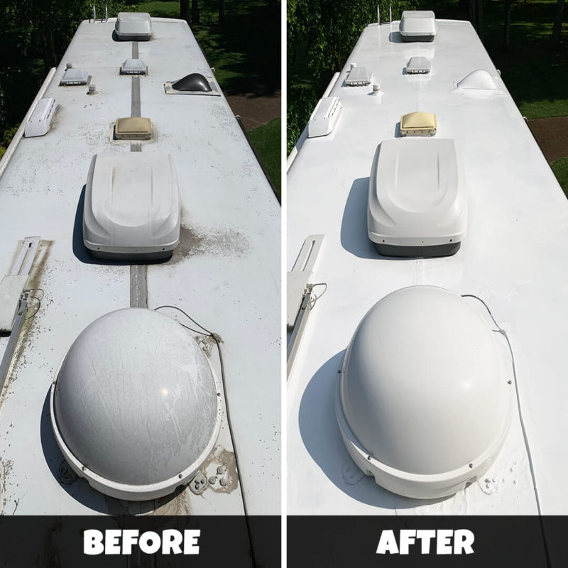 Crazy Seal Pricing | CRAZY SEAL