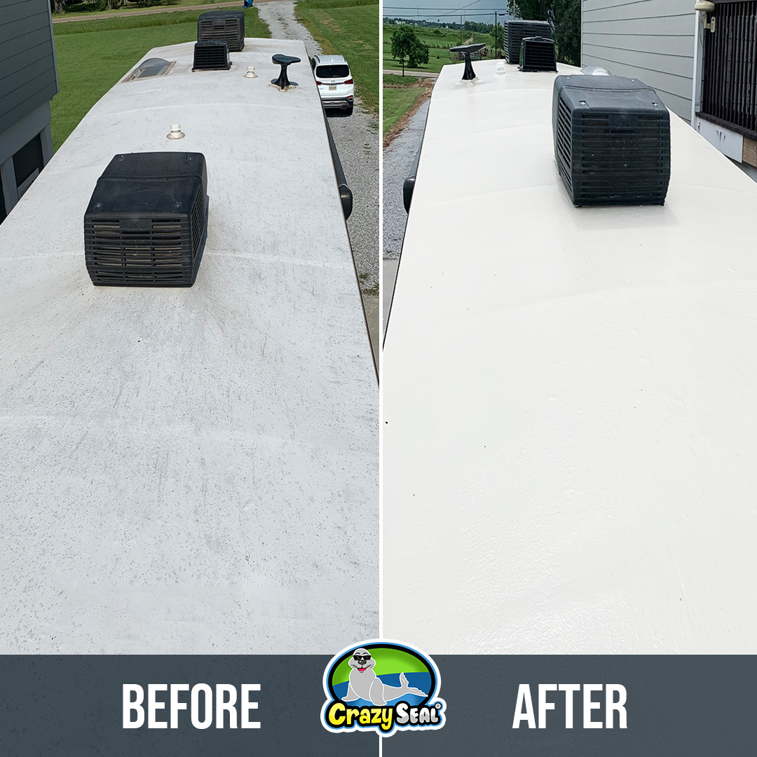 Project #3356: Easy Instructions, Impressive Results | CRAZY SEAL